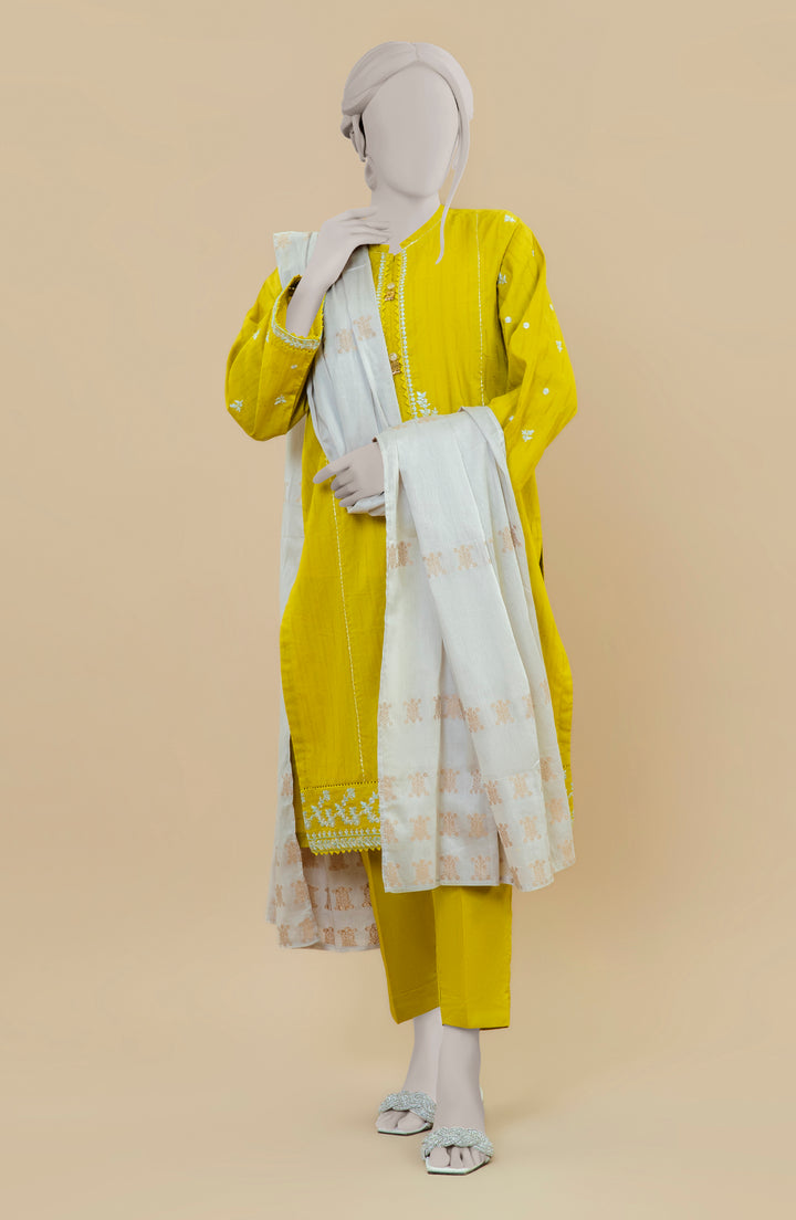 Exclusive Sale on MTJ Branded Clothes in Pakistan - Shop Now!